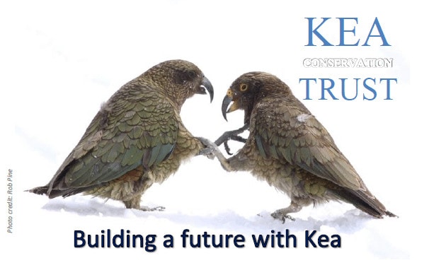Winter Education and Advocacy Tour - Kea Conservation Trust