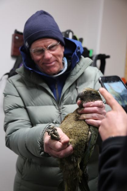 Bring Back the Kea - NZSki Partnership - Kea Conservation Trust