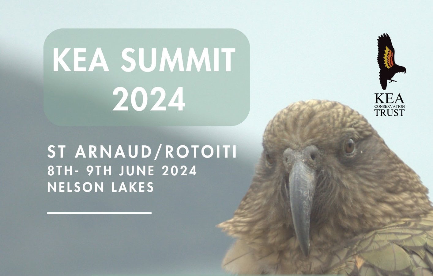 Kea Summit - 2024 - Kea Conservation Trust